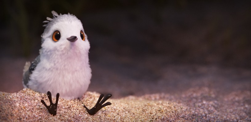 Piper: Descobrindo o Mundo | Crítica e curiosidades do novo curta ...