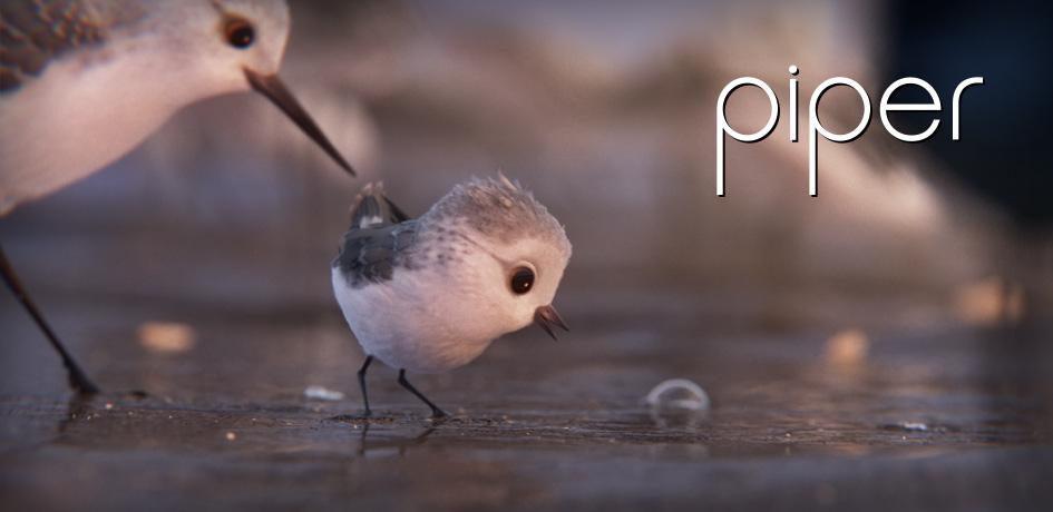 Piper: Descobrindo o Mundo | Crítica e curiosidades do novo curta ...
